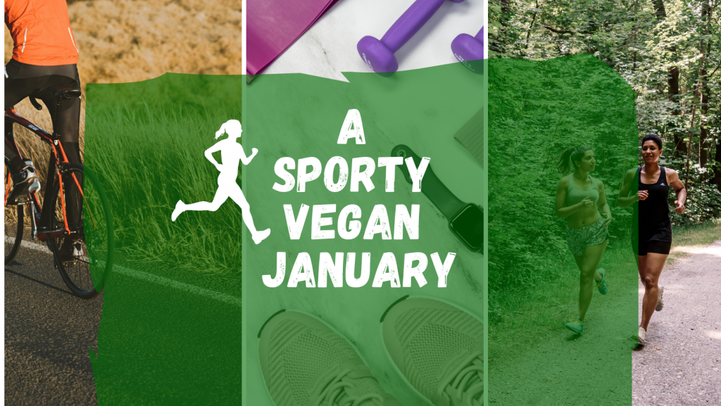 Team Vegan.at goes international – Team Vegan.at